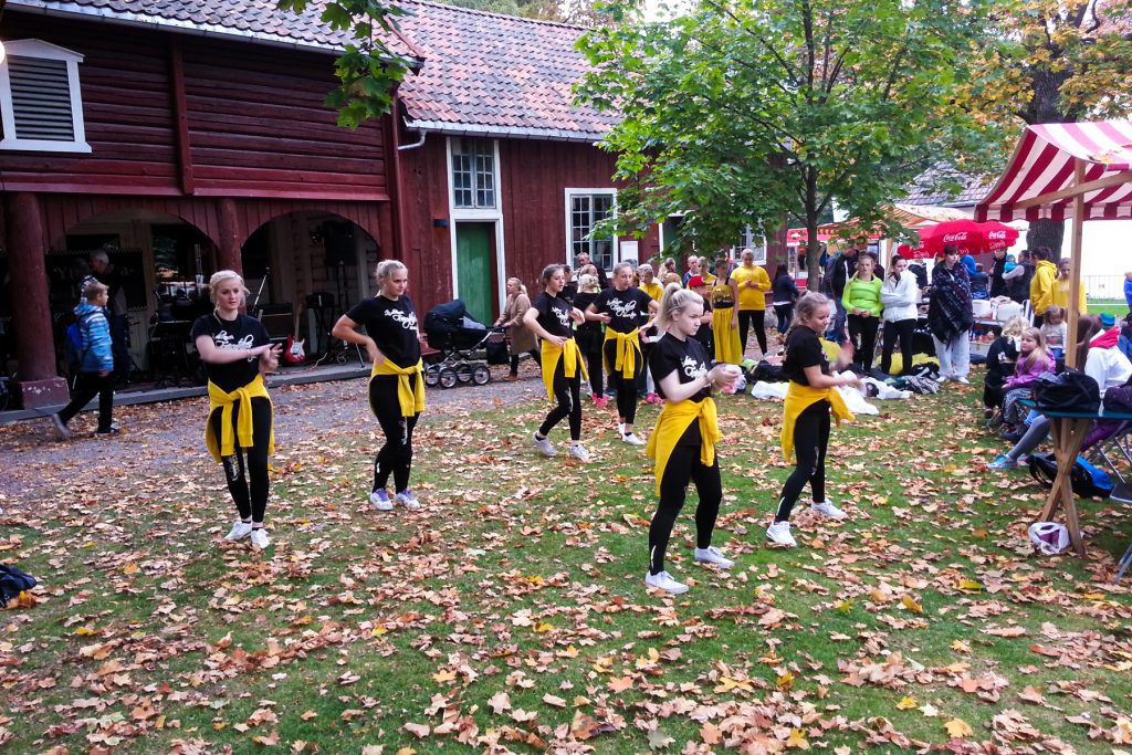 Ønsker du bidra med en aktivitet eller et underholdningsinnslag ...